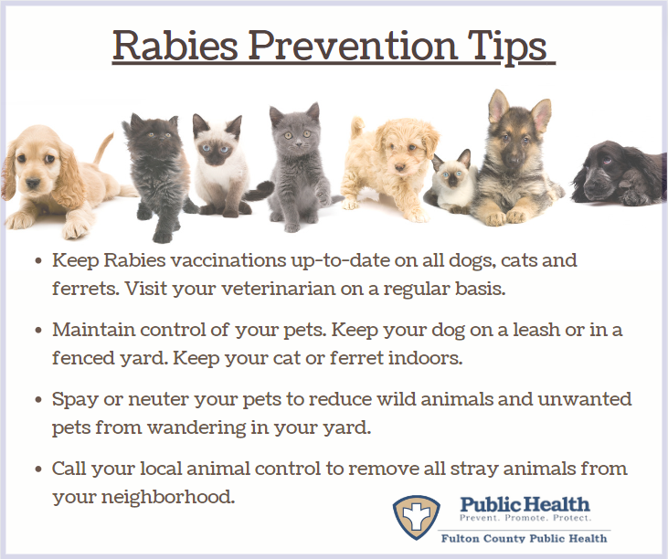 Public Health | FULTON COUNTY